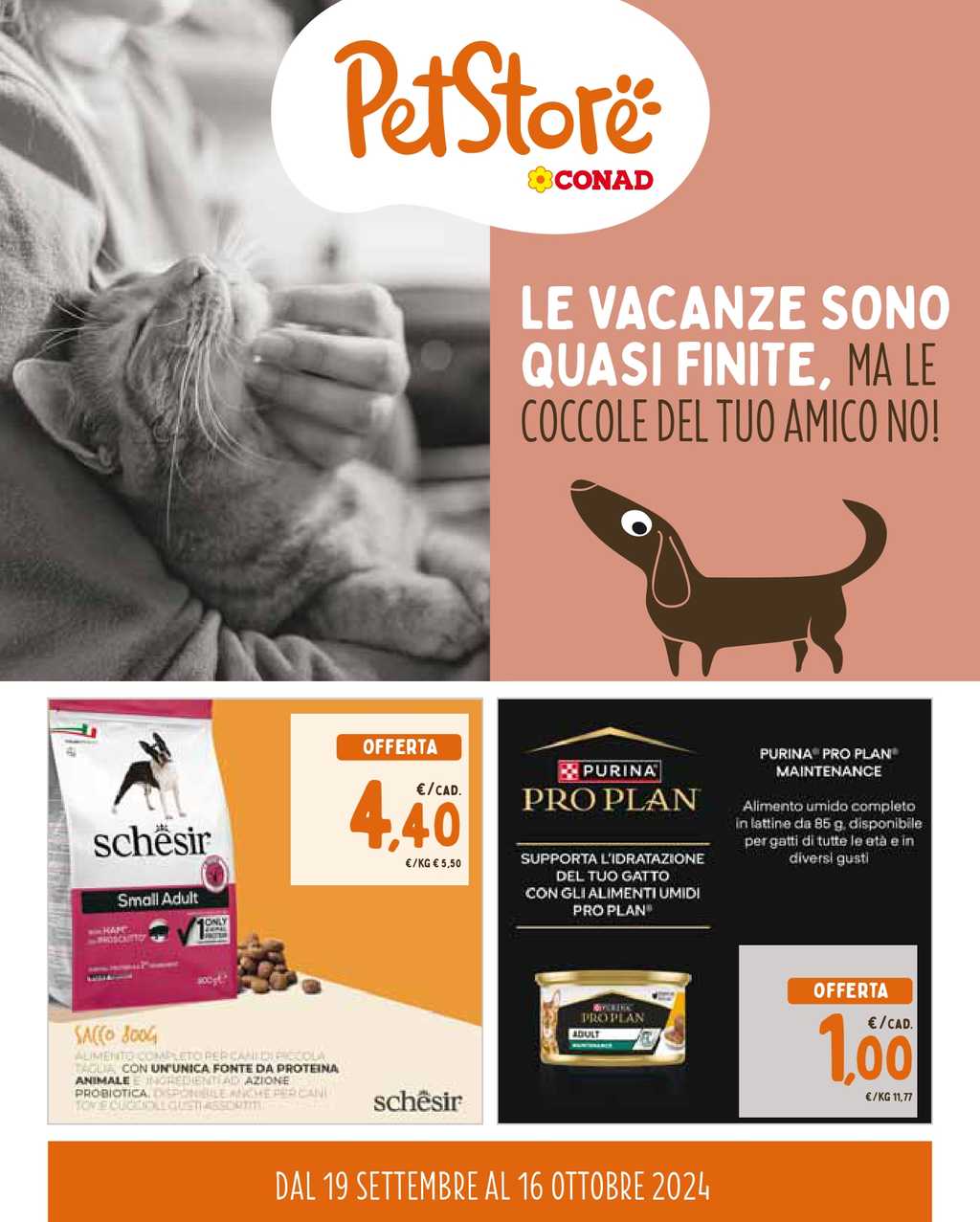 Anteprima del Volantino Conad